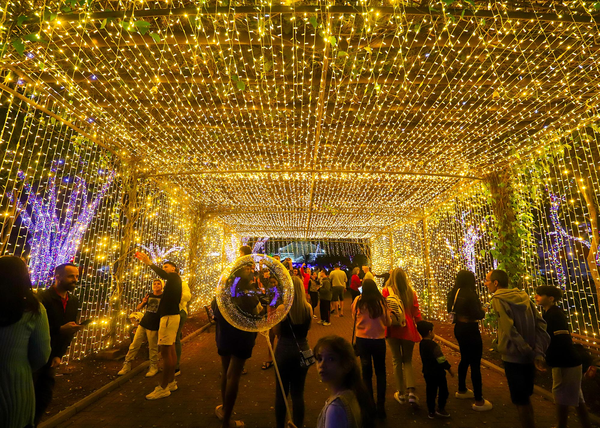 Natal das Árvores abre programação dos 206 anos de Santa Bárbara ...